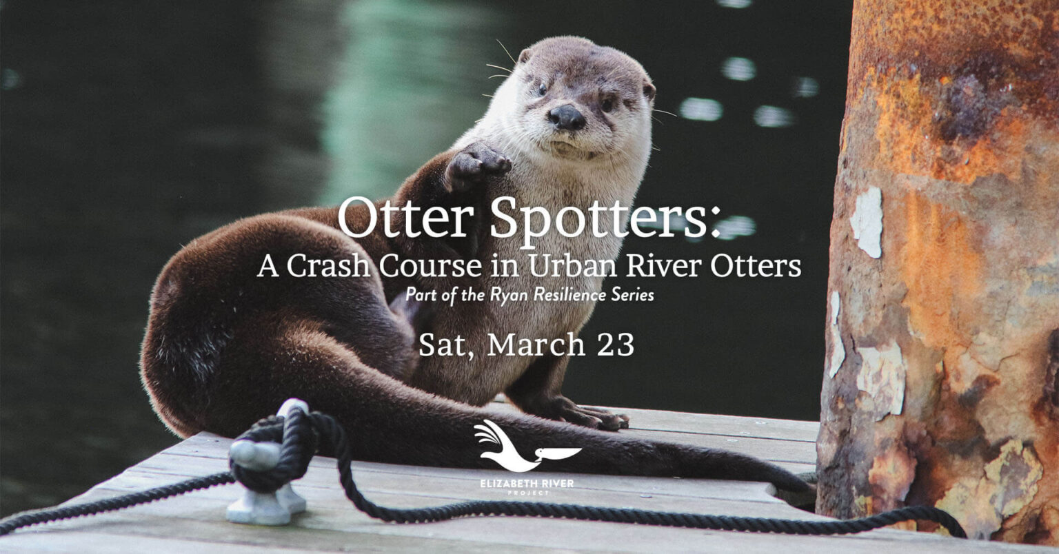 Ryan Resilience Lab - Elizabeth River Project