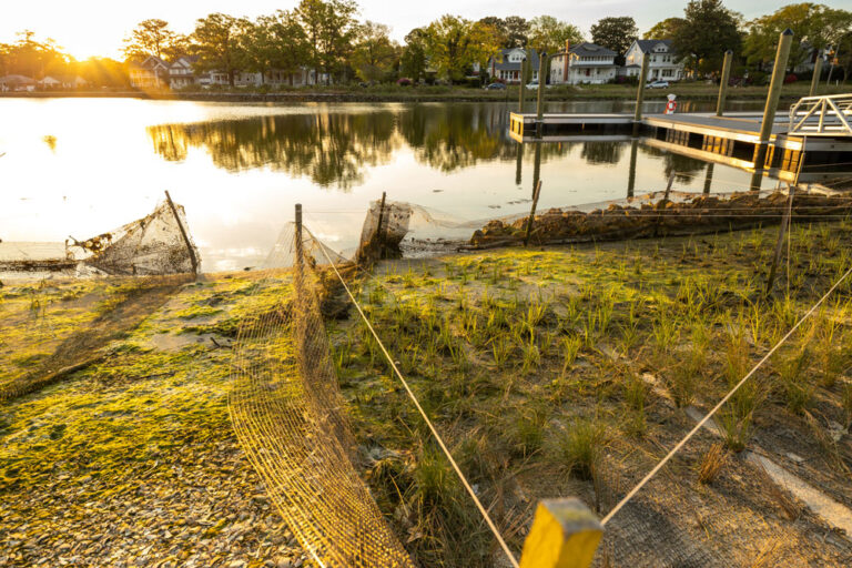 Green Systems - Elizabeth River Project
