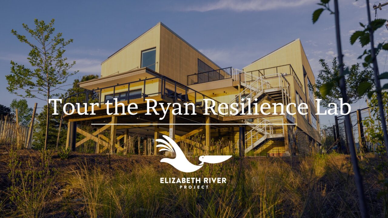 Free Guided Tour of Elizabeth River Projects Ryan Resilience Lab ...