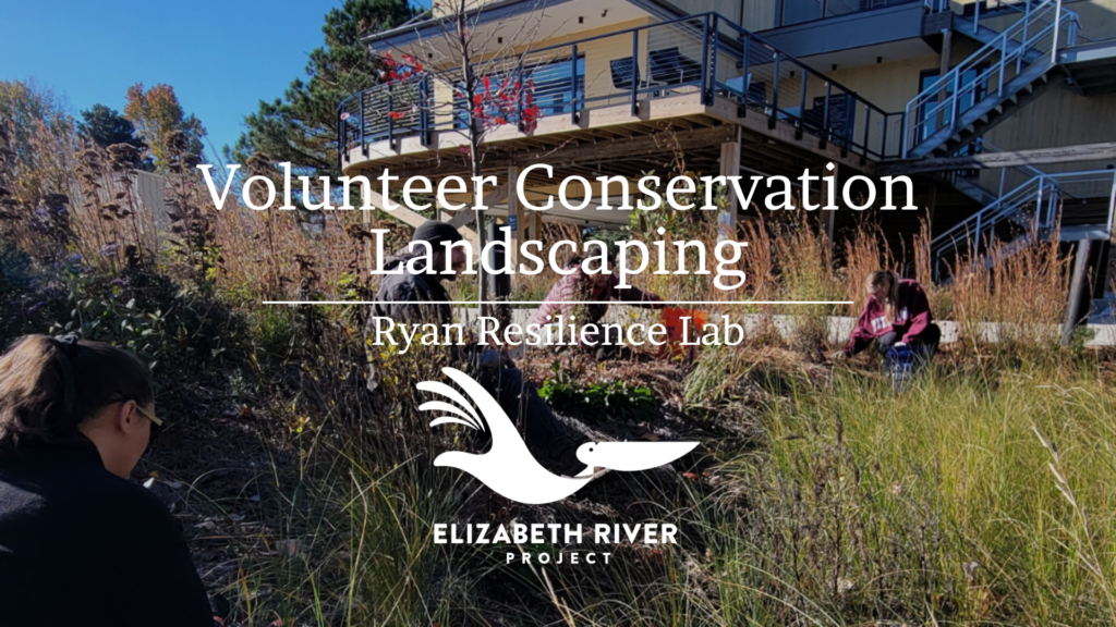Volunteer Day: Ryan Resilience Lab Landscaping - Elizabeth River Project